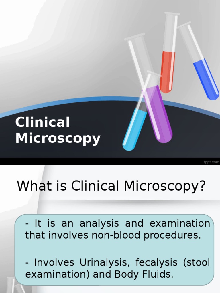 Clinical Micros | PDF | Urine | Human Feces