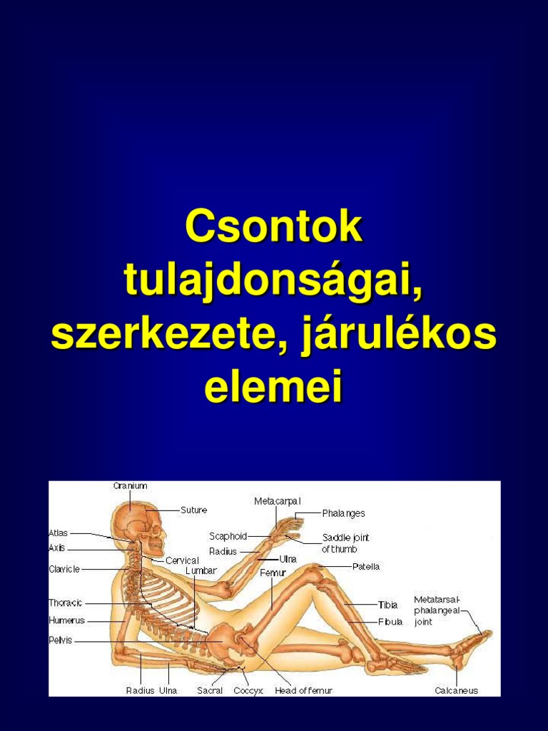 A Csontok Tulajdonságai | PDF