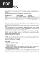 Jak Napisać Rozprawkę - Schemat + Przykładowa Rozprawka (Cke) | PDF