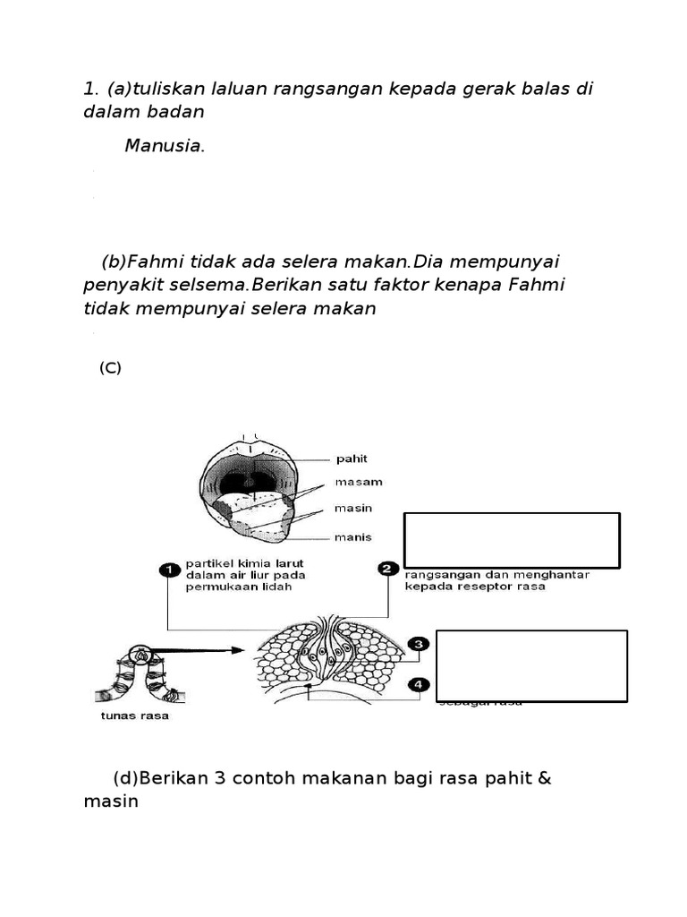Soalan Sains Tingkatan 2 Pdf