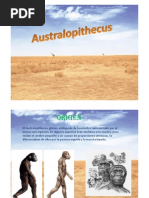 Dryopithecus | PDF | Hominidae | Homo Sapiens