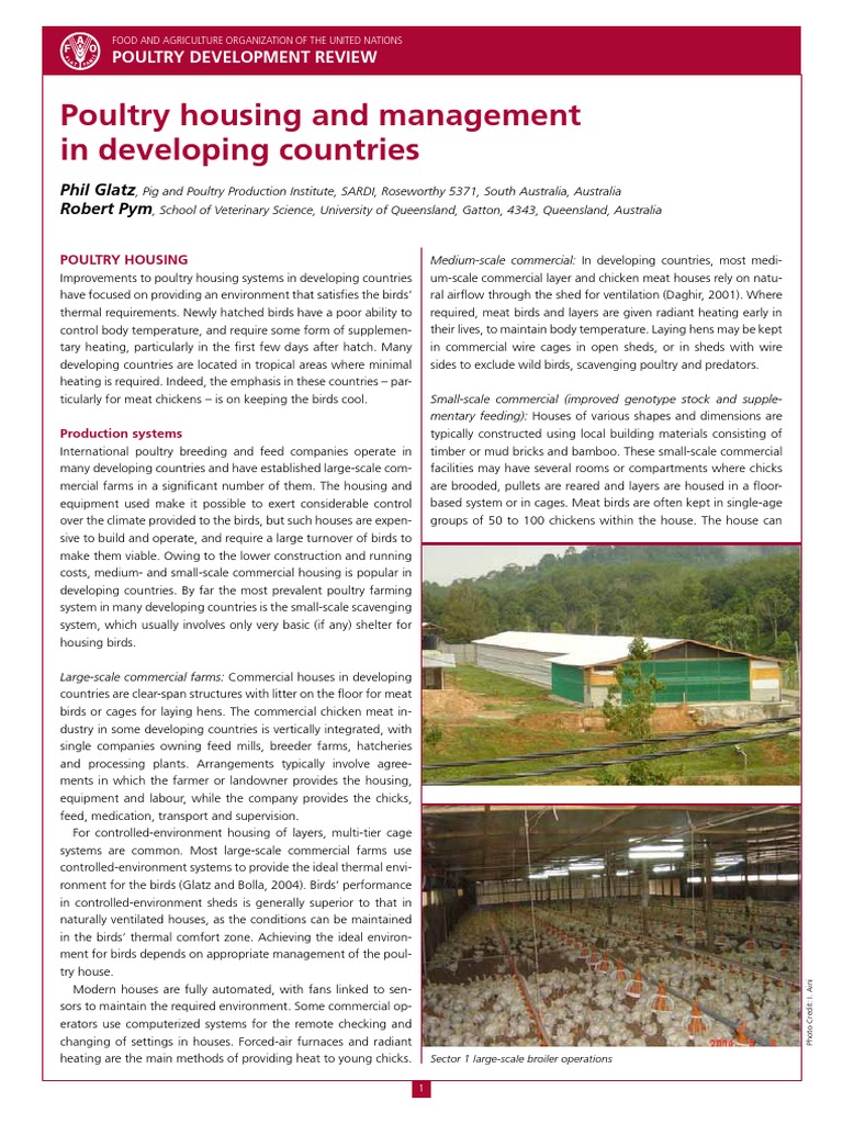 Poultry Breeding PDF | PDF | Chicken | Ventilation (Architecture)