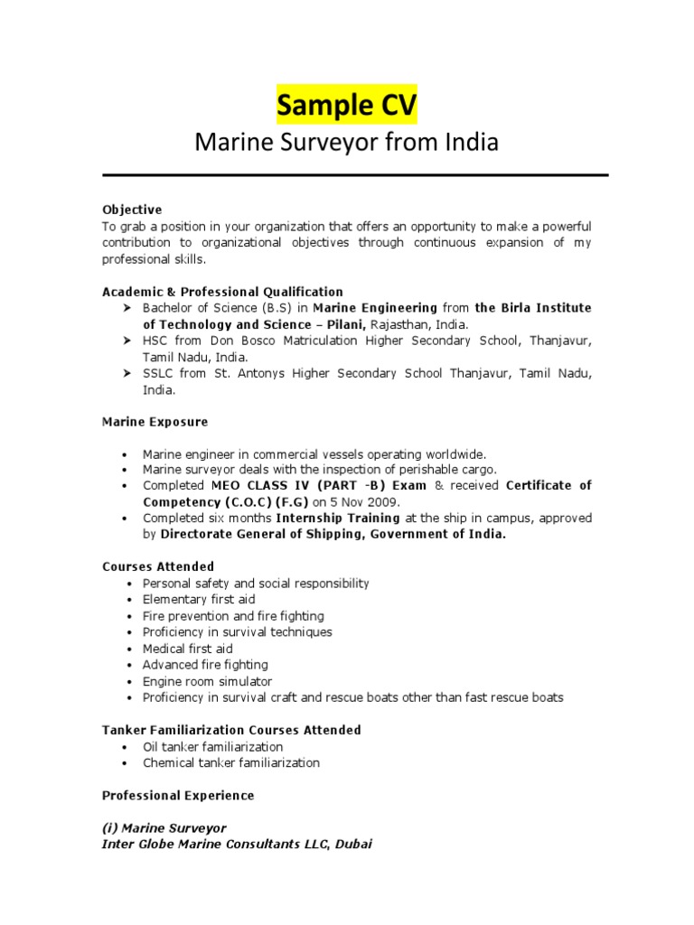 Marine Surveyor - Sample CV 1 | PDF | Fuel Oil | Industries