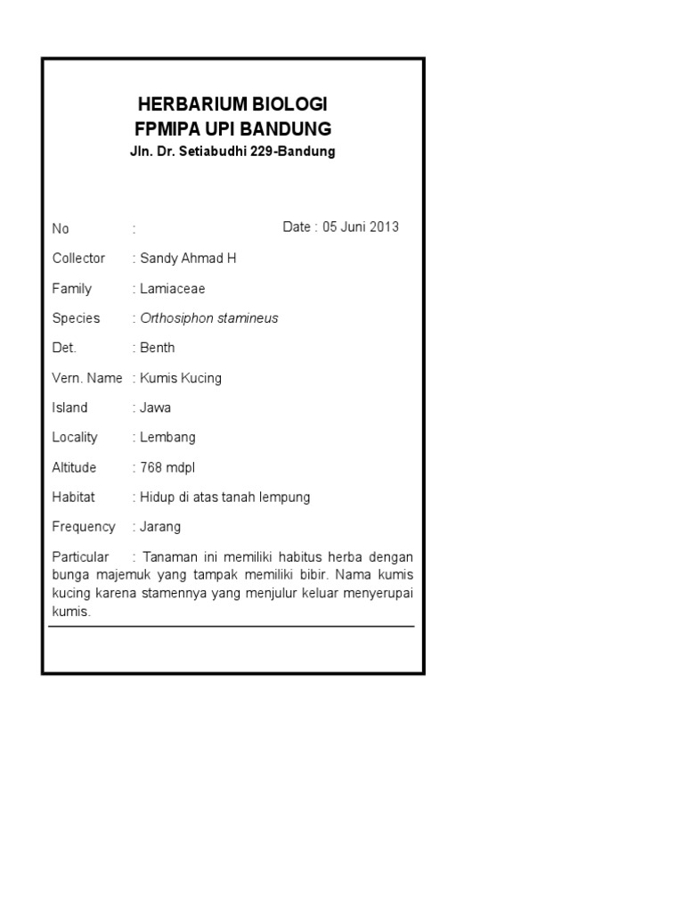 Format Label Herbarium Upi | PDF