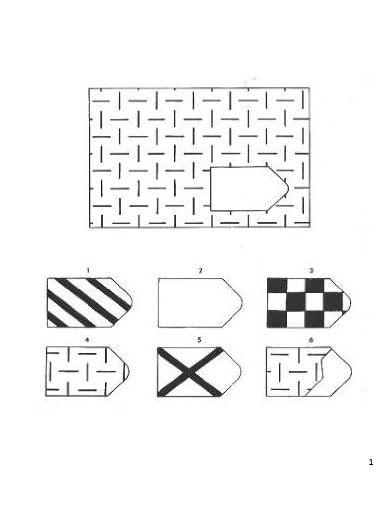 Test-Raven-Adultos-Laminas-.pdf