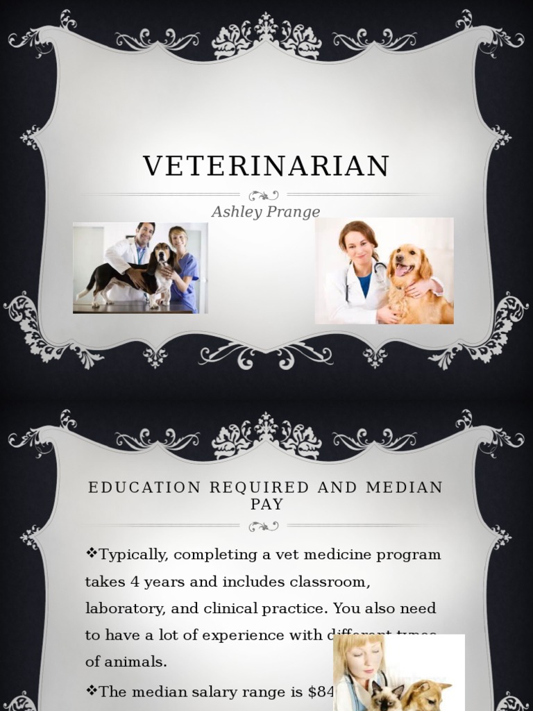 Becoming a Veterinarian: Key Insights | PDF