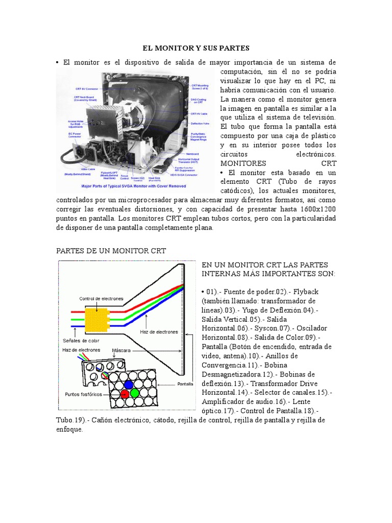 El Monitor y Sus Partes | PDF | Monitor de computadora | Polarización ...