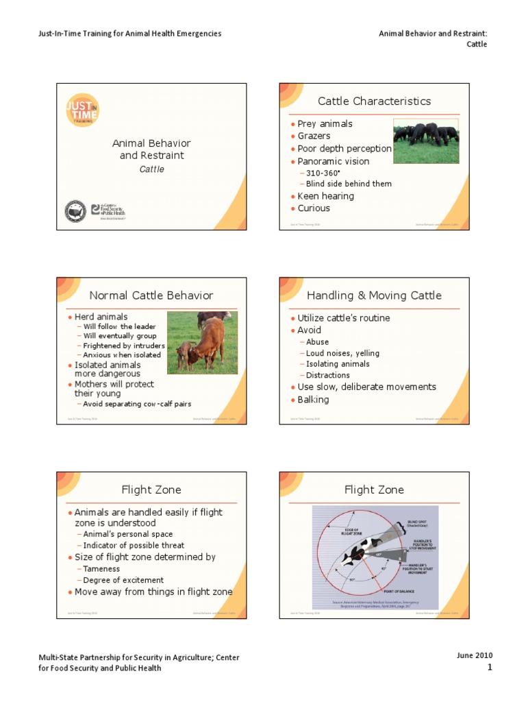 Behaviour | PDF | Cattle | Ethology