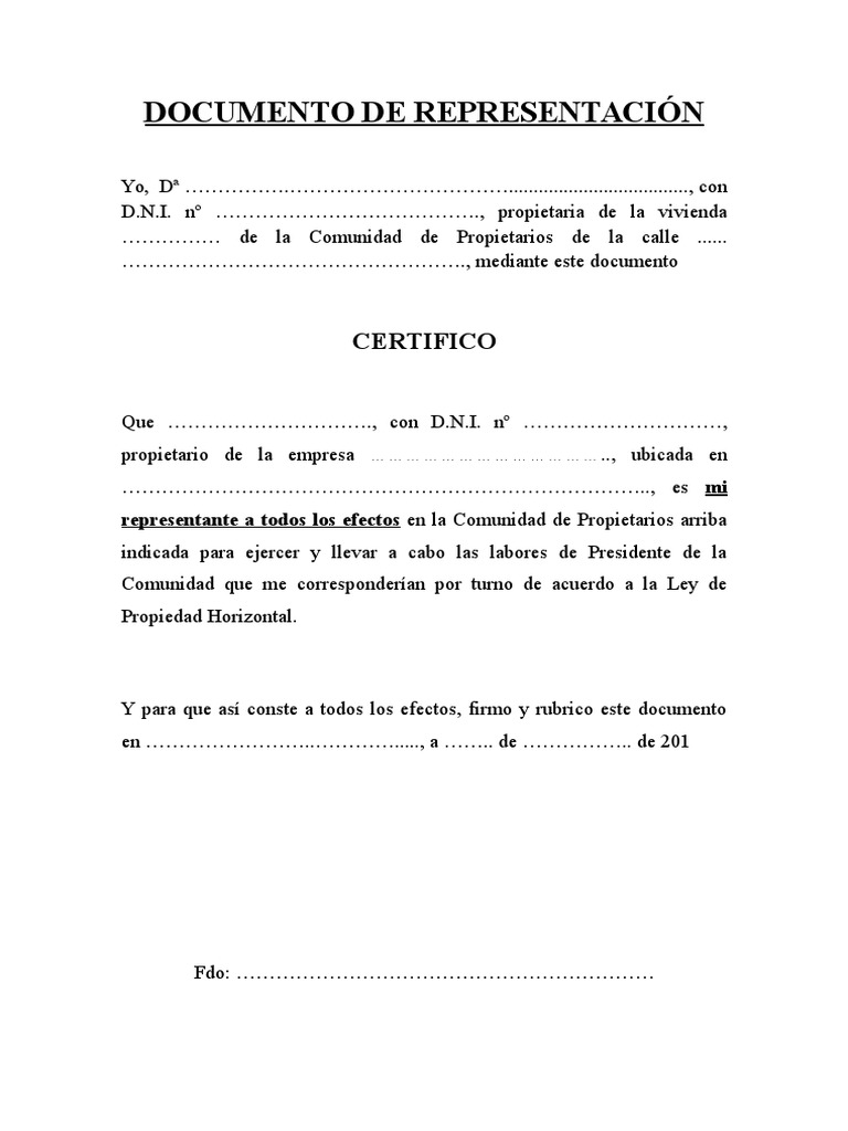 Documento de Representación | PDF