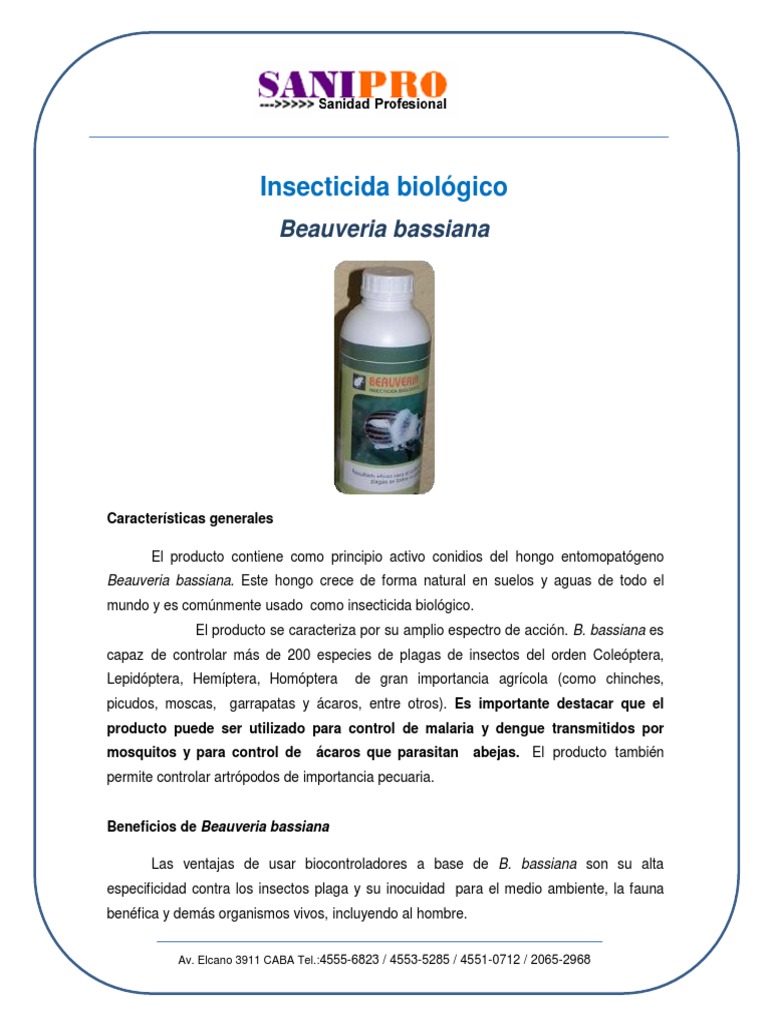 Insecticida Biologico Beauveria Bassiana | Insecticida | Hongo
