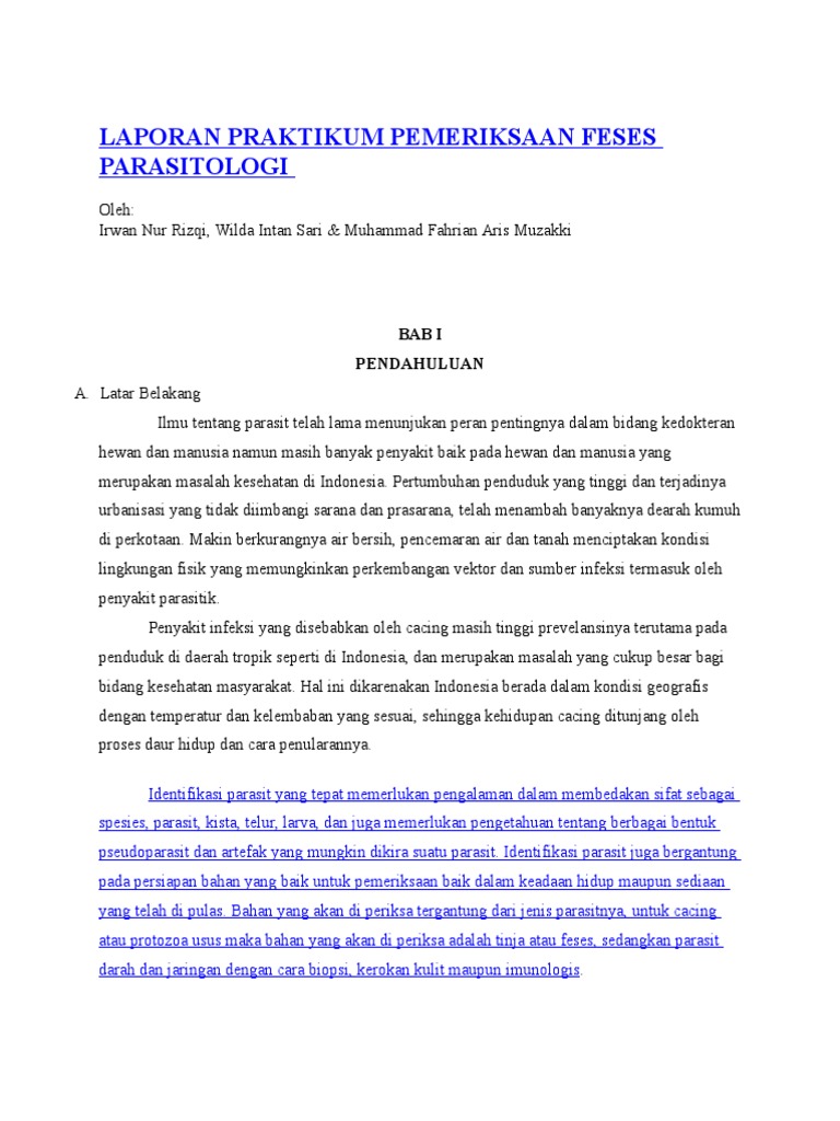 Laporan Praktikum Pemeriksaan Feses | PDF