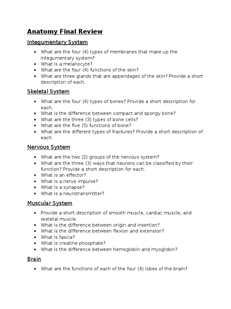 Anatomy Exam Study Guide | PDF