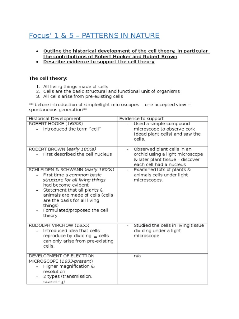Biology Patterns in Nature Focus 1 | PDF | Mitosis | Cell (Biology)