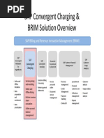SAP BRIM Introduction | PDF | Parameter (Computer Programming) | Debits ...