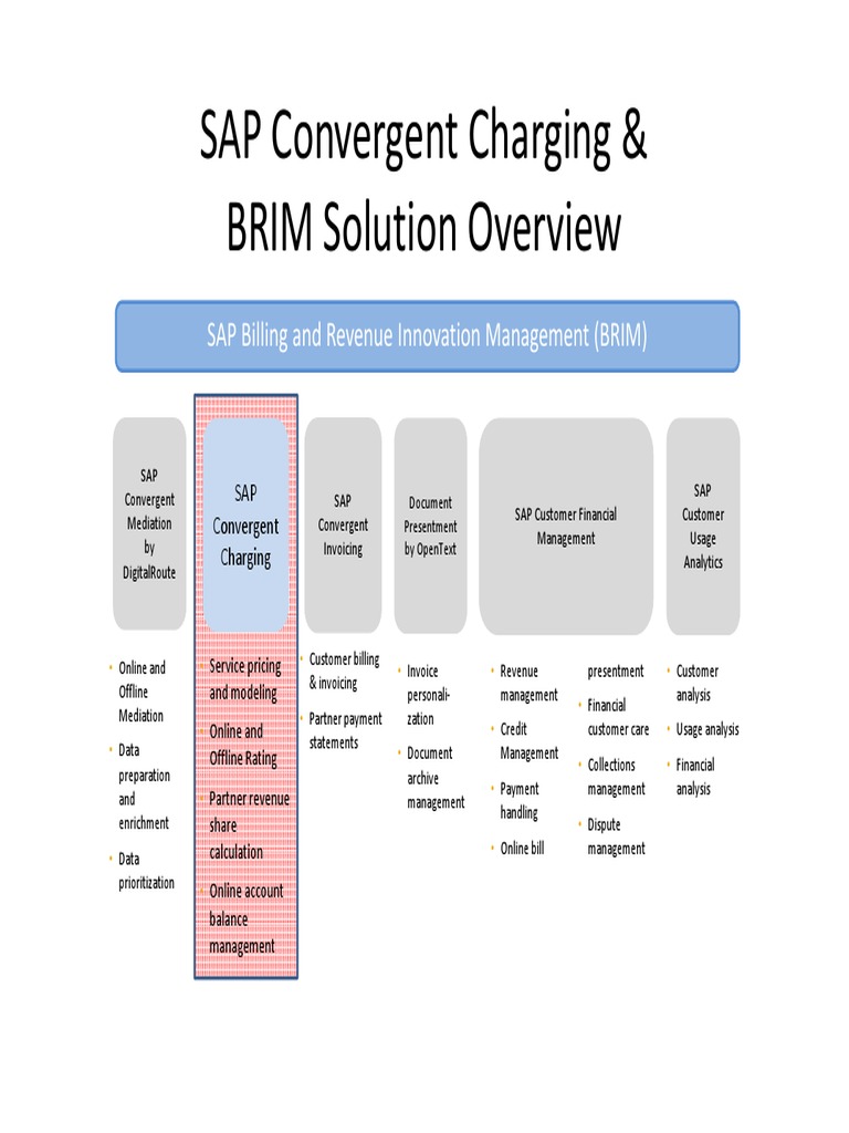 SAP Convergent Charging & BRIM Solution Overview | PDF