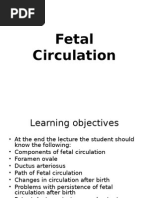 Fetal Circulation | PDF | Circulatory System | Fetus