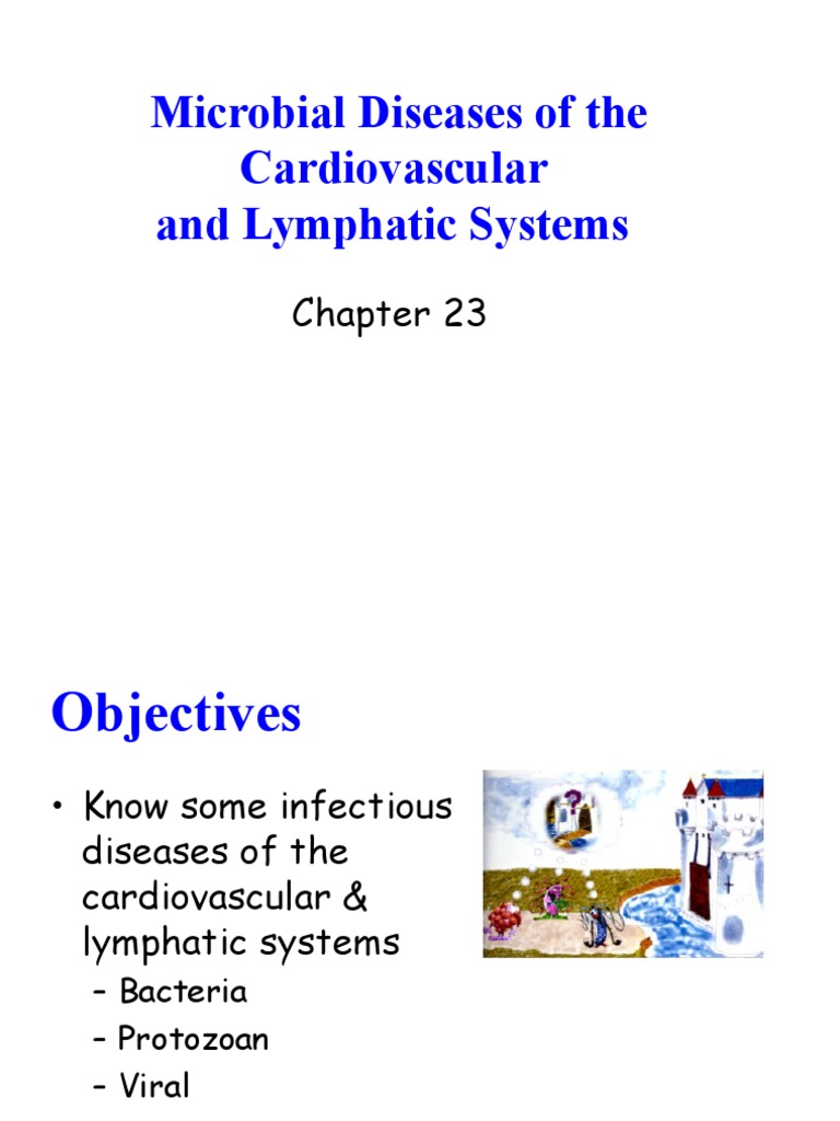 Microbial Diseases of The Cardiovascular and Lymphatic Systems | PDF ...