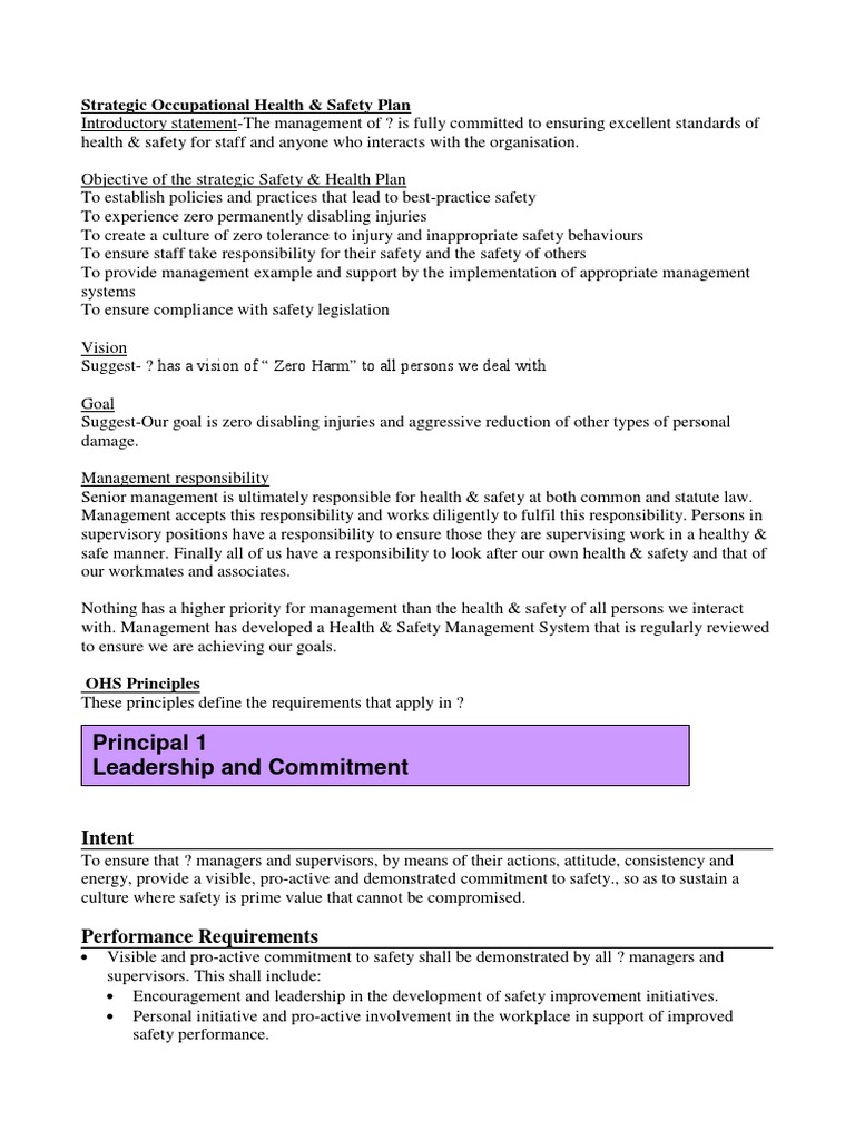 Strategic Occupational Health and Safety Plan | PDF | Risk Management ...