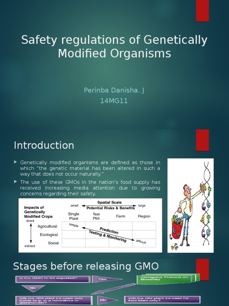 Safety Regulations of Genetically Modified Organisms | PDF ...