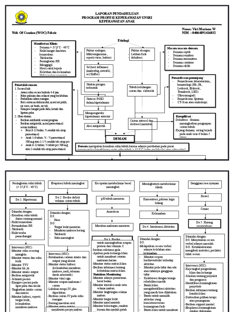 Woc Febris Vivi Maryana Wulandari | PDF
