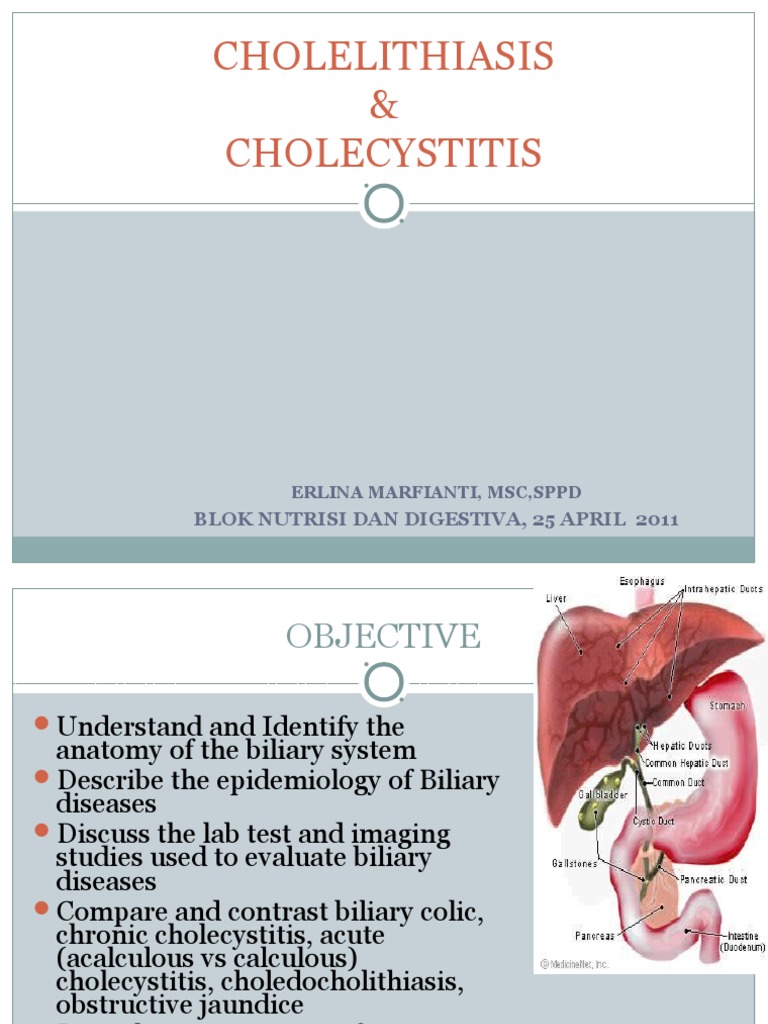 CHolelitiasis, Cholesistitis | PDF | Digestive Diseases | Exocrine System