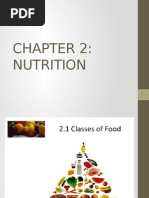 Form 2 Science Notes | PDF | Digestion | Skeleton