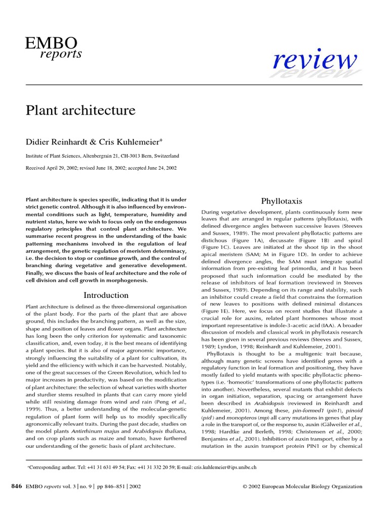 Jurnal Arsitektur Pohon | PDF | Auxin | Arabidopsis Thaliana