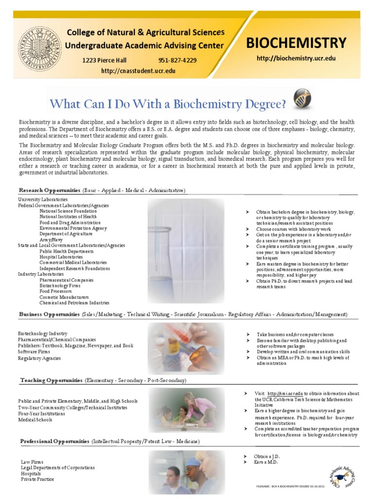 Biochemistry Degree Flyer | PDF | Academic Degree | Doctor Of Philosophy