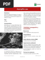 Línea Del Tiempo de La Microbiología - 20250122 - 231540 - 0000 | PDF | Microbiología | Adn