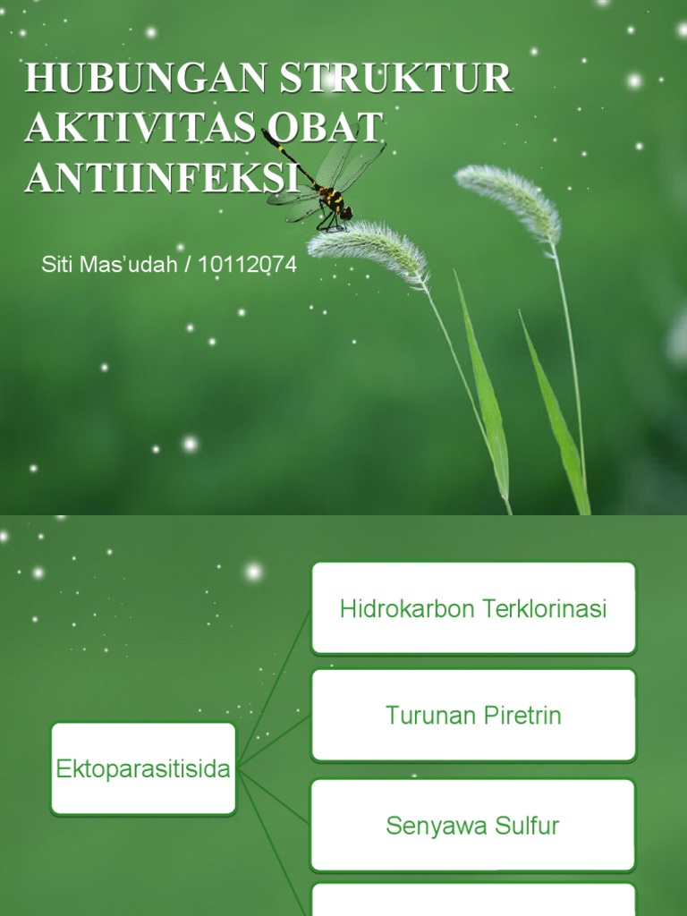 Hubungan Struktur Aktivitas Obat Antiinfeksi | PDF