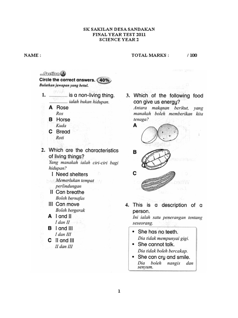 Science Year 2 | PDF