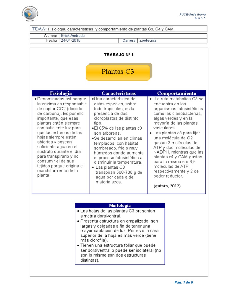 Fisiología comparativa de las plantas C3, C4 y CAM | PDF | Fotosíntesis ...
