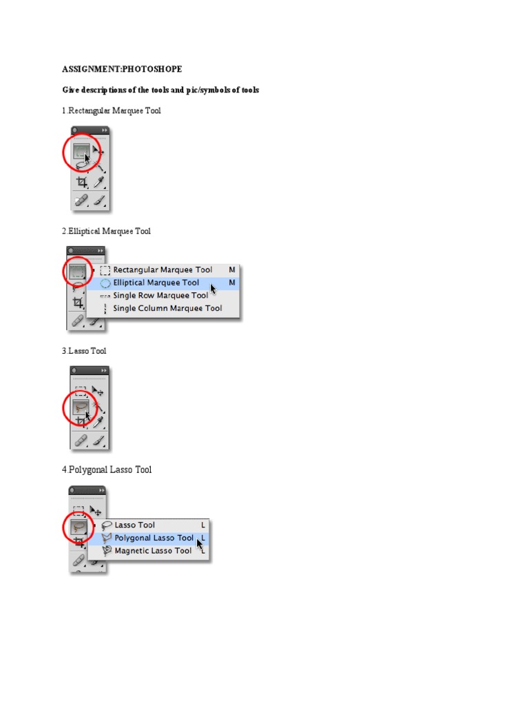 Essential Photoshop Tools Guide | PDF