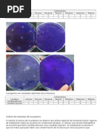 Enzima Invertasa | PDF | Sacarosa | Química