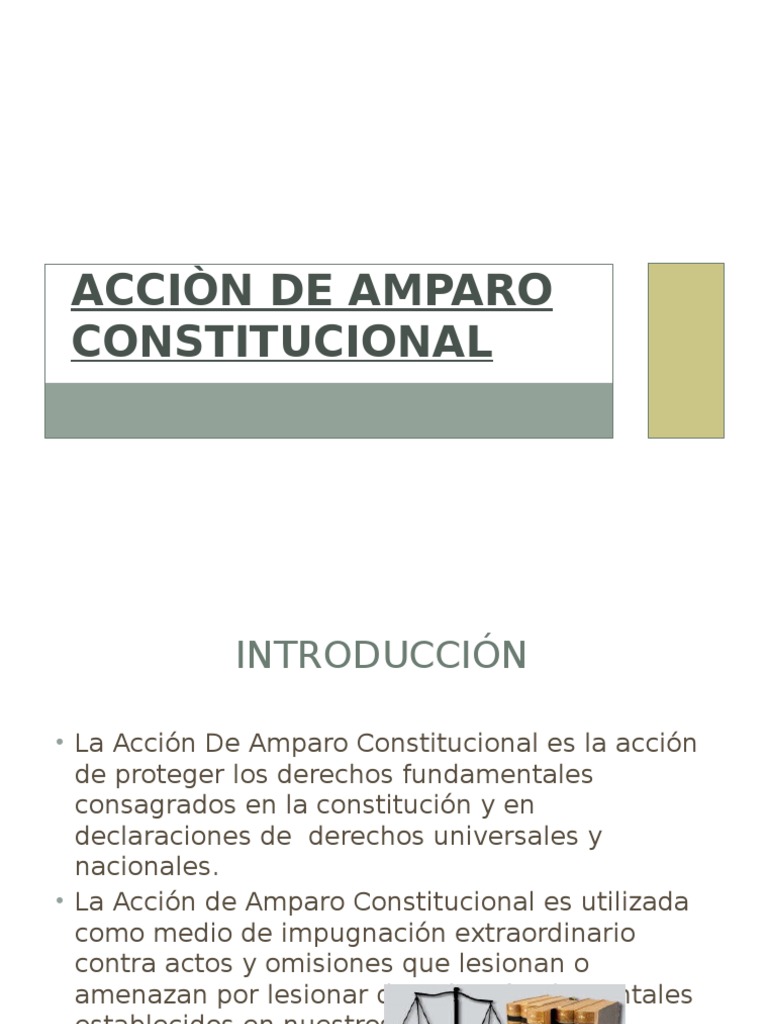 Acciòn de Amparo Constitucional | PDF | Derecho Constitucional | Constitución