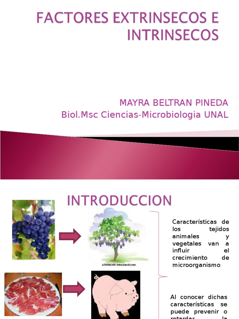 Ecologia Microbiana - Factores Extrinsecos e Intrinsecos | PDF | Antibióticos | Las bacterias