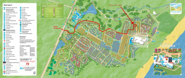 Primrose Field Overview and Details | PDF