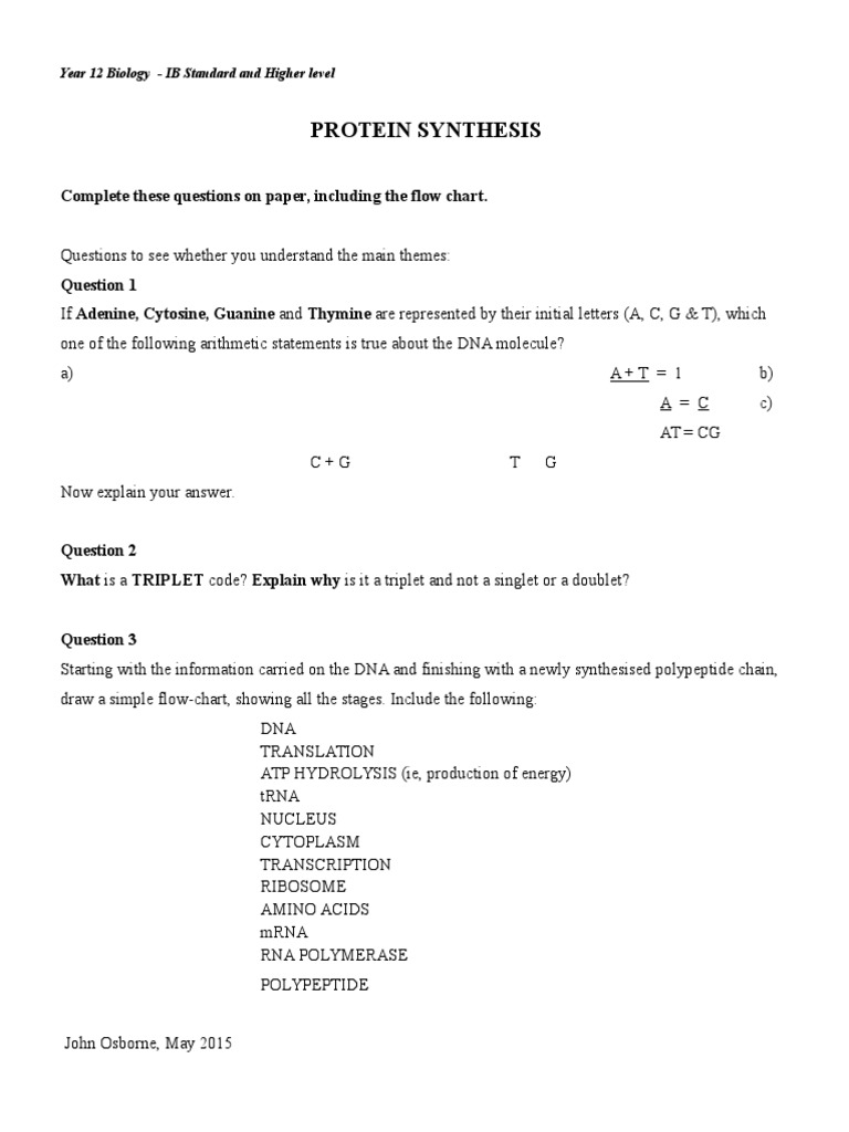 Protein Synthesis Questions and Flow Chart | PDF