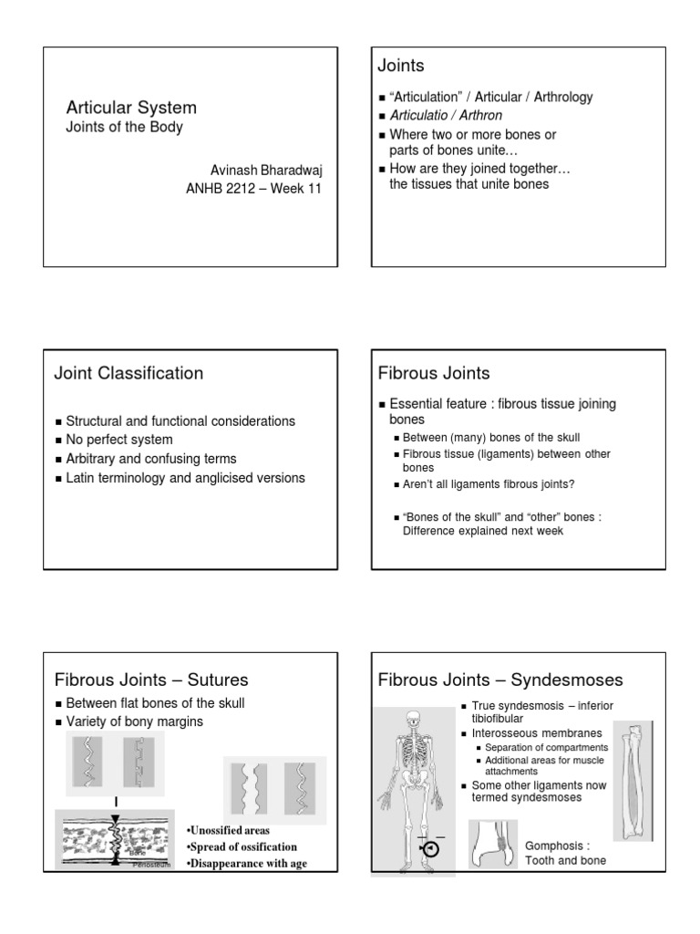 Articular System and Joints PDF | Download Free PDF | Joint | Cartilage