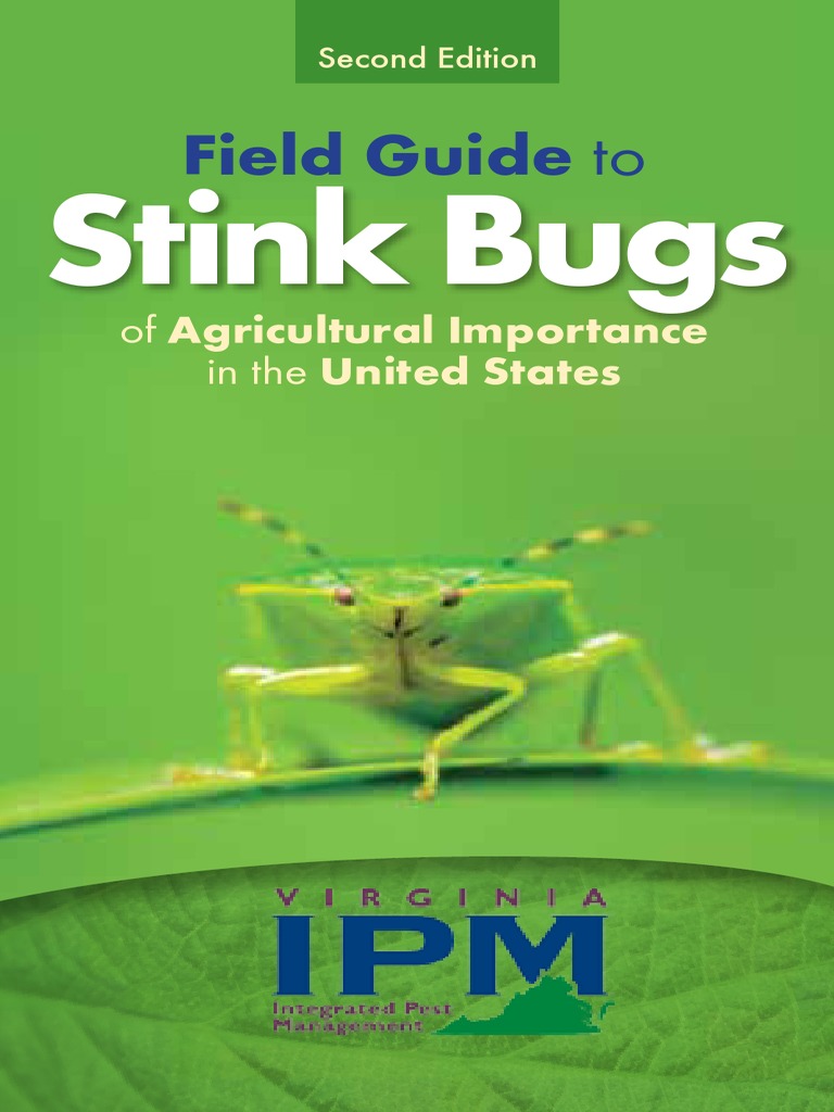 Stink Bug Anatomy and Identification Guide | PDF | Insects | Hexapoda