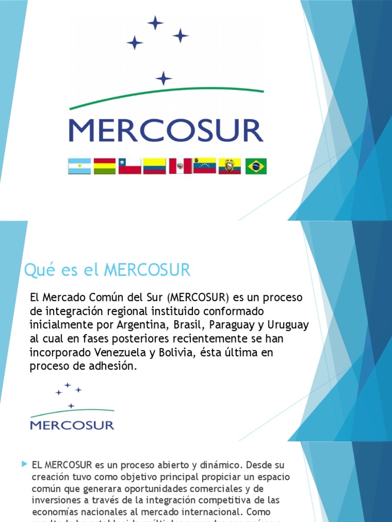 Mercosur | PDF | América del Sur | Relaciones Internacionales