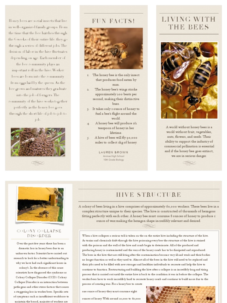 Honey Bee Brochure | PDF | Honey Bee | Beehive