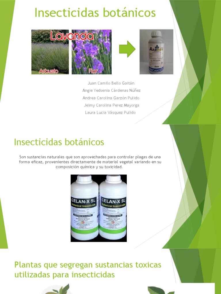 Insecticidas Botánicos | PDF | Insecticida | Organismos