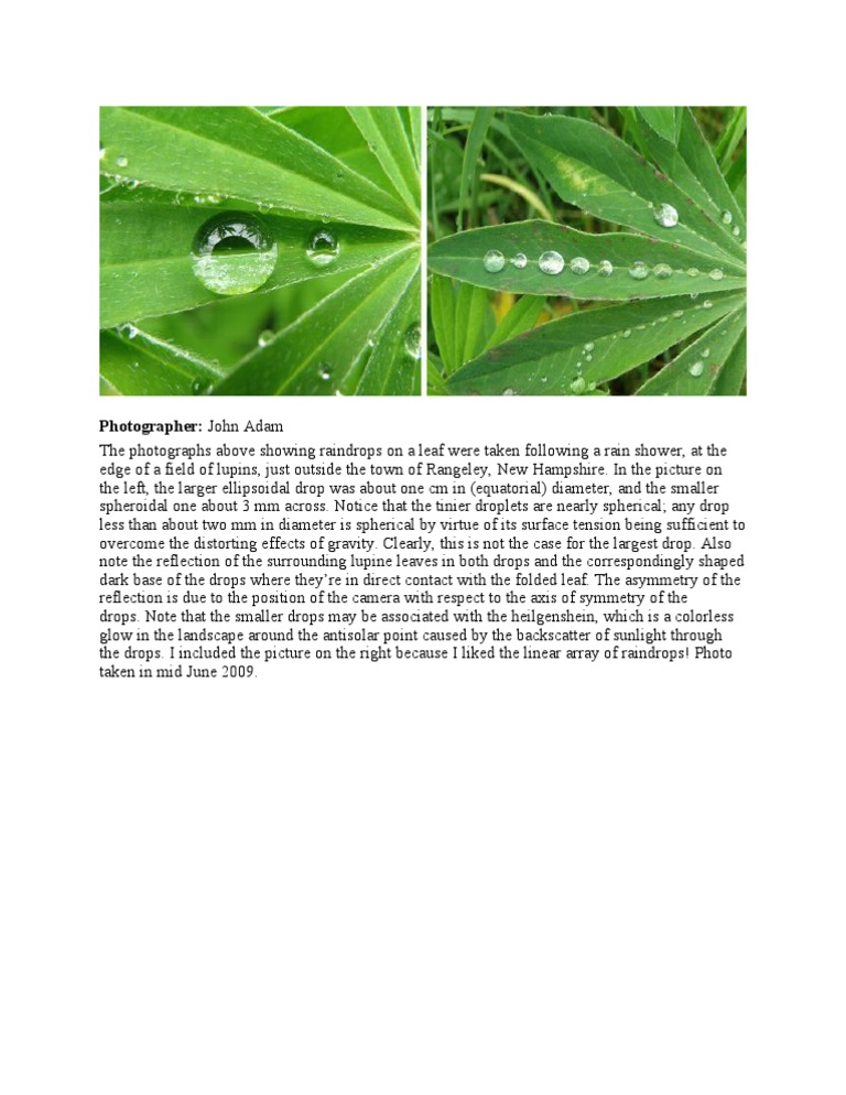 String of Pearls | PDF
