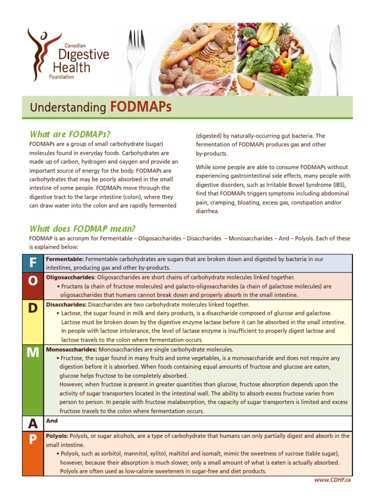 32 Fodmaps | PDF | Fructose | Irritable Bowel Syndrome