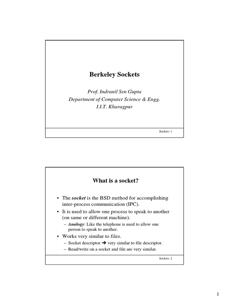 Understanding Berkeley Sockets Basics | PDF | Network Socket | Port (Computer Networking)