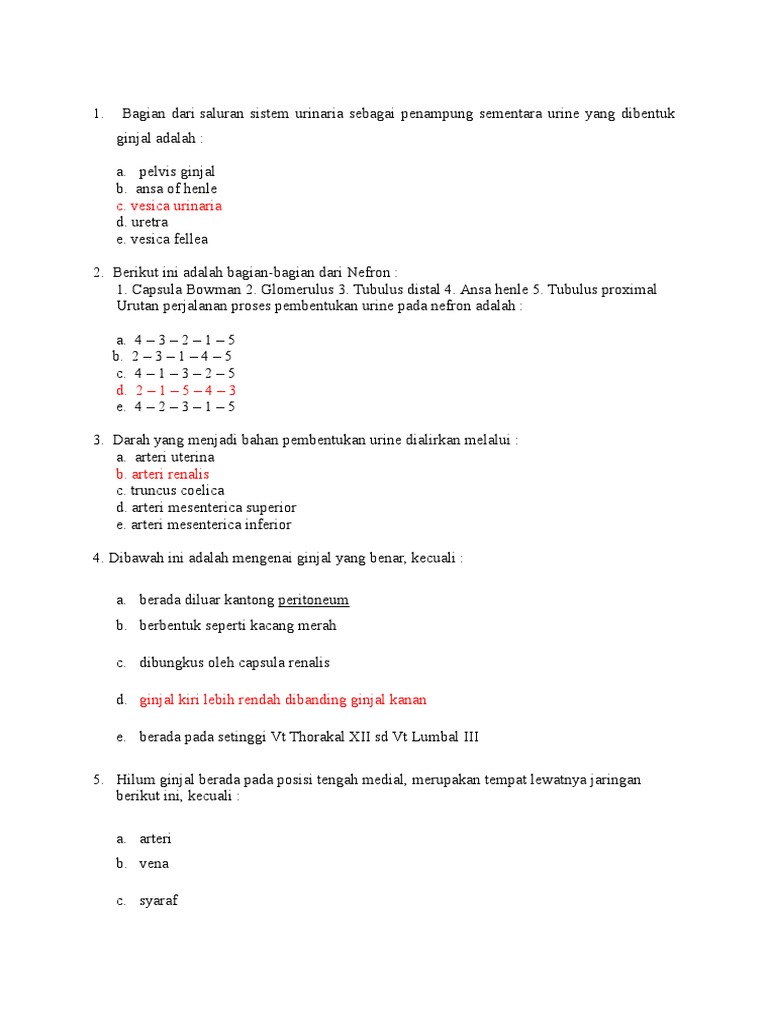Soal Ujian Sistem Urinaria (Dr. Ragil) | PDF