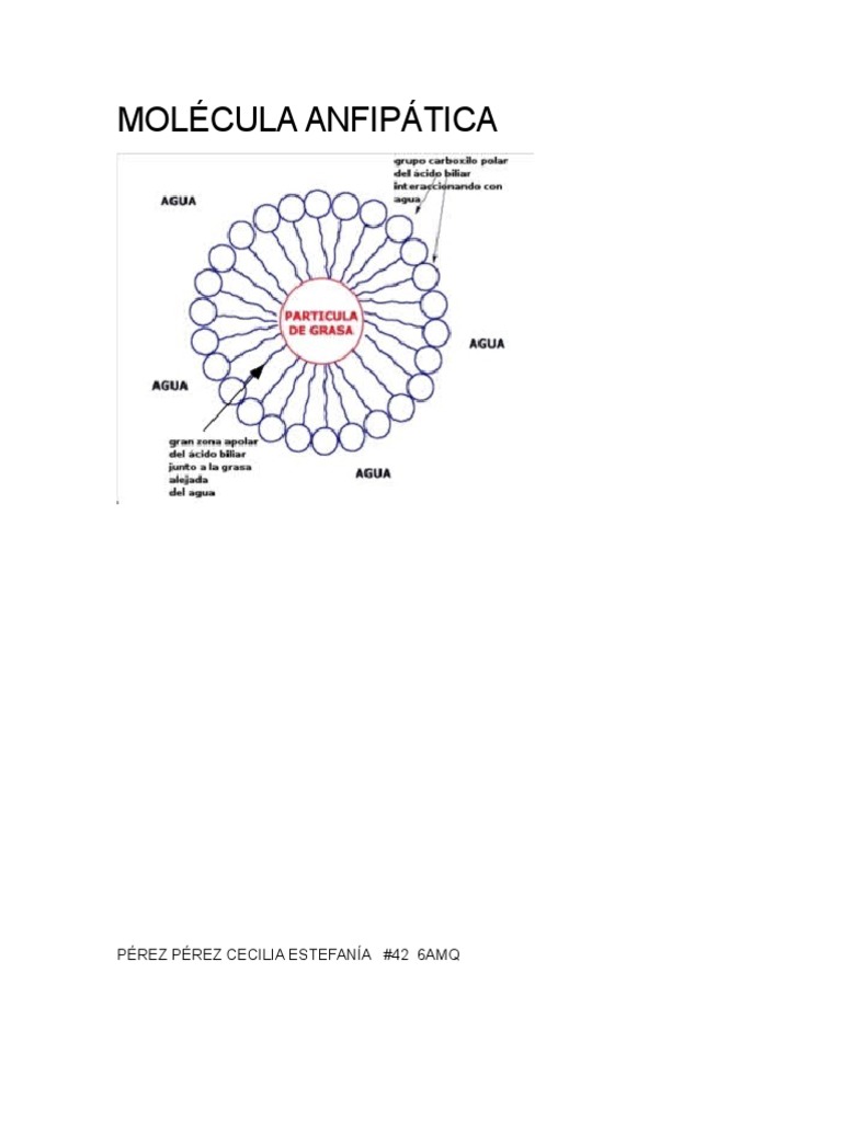CAPA Solv y Molecula Anfipatica | PDF