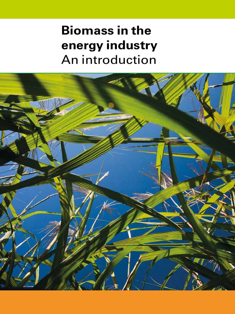 ESC Biomass Handbook | Biomass | Bioenergy