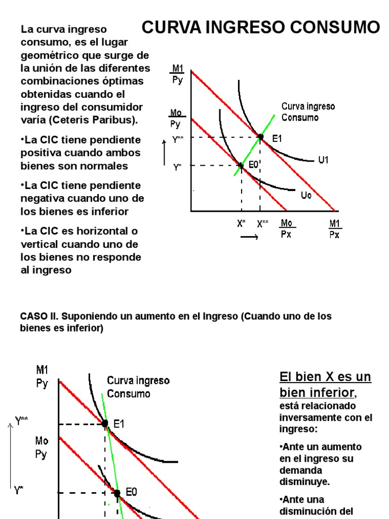 Curva Ingreso-Consumo y Bienes Inferiores | PDF